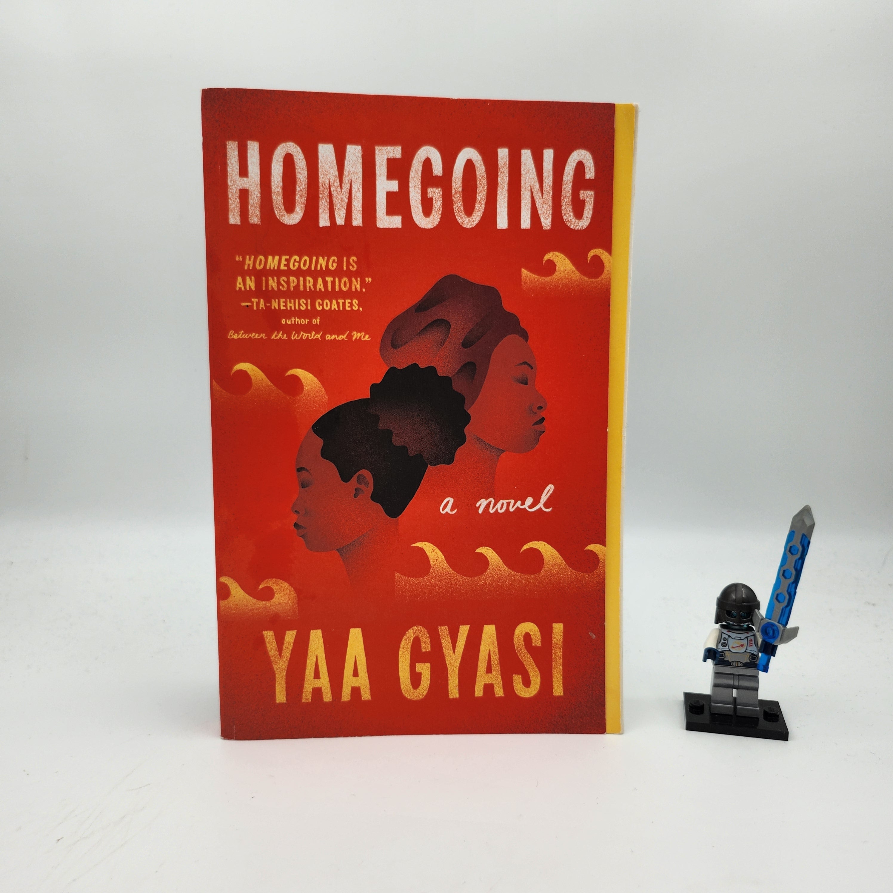 Homegoing - Yaa Gyasi – Books For Less